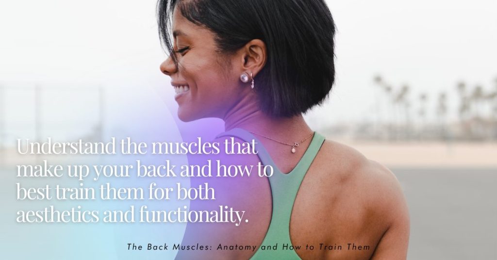 The Back Muscles: Anatomy and How to Train Them - Tru Training